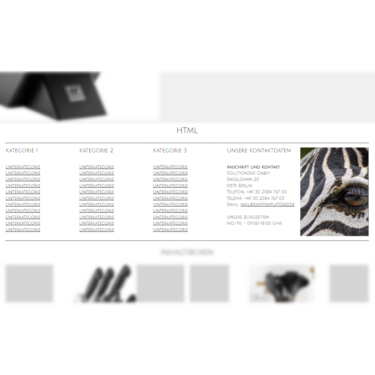 HTML Widget | easyTemplate360